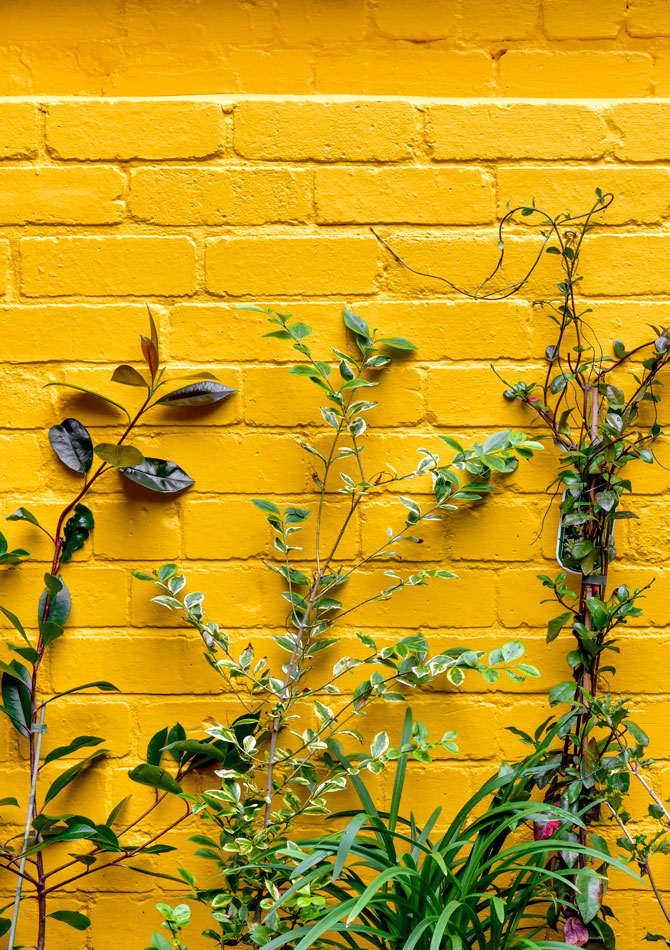 vanilla factory refresh - shedkm